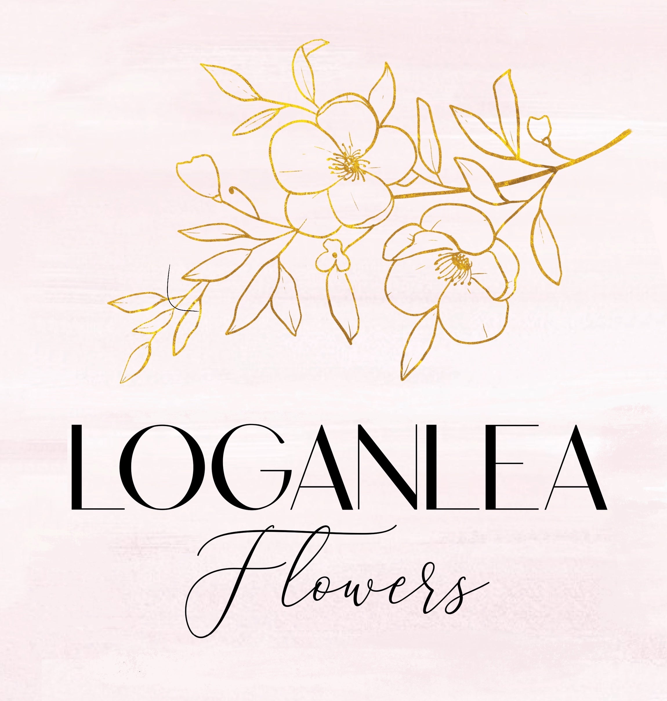 Arrangement – Loganlea Flowers